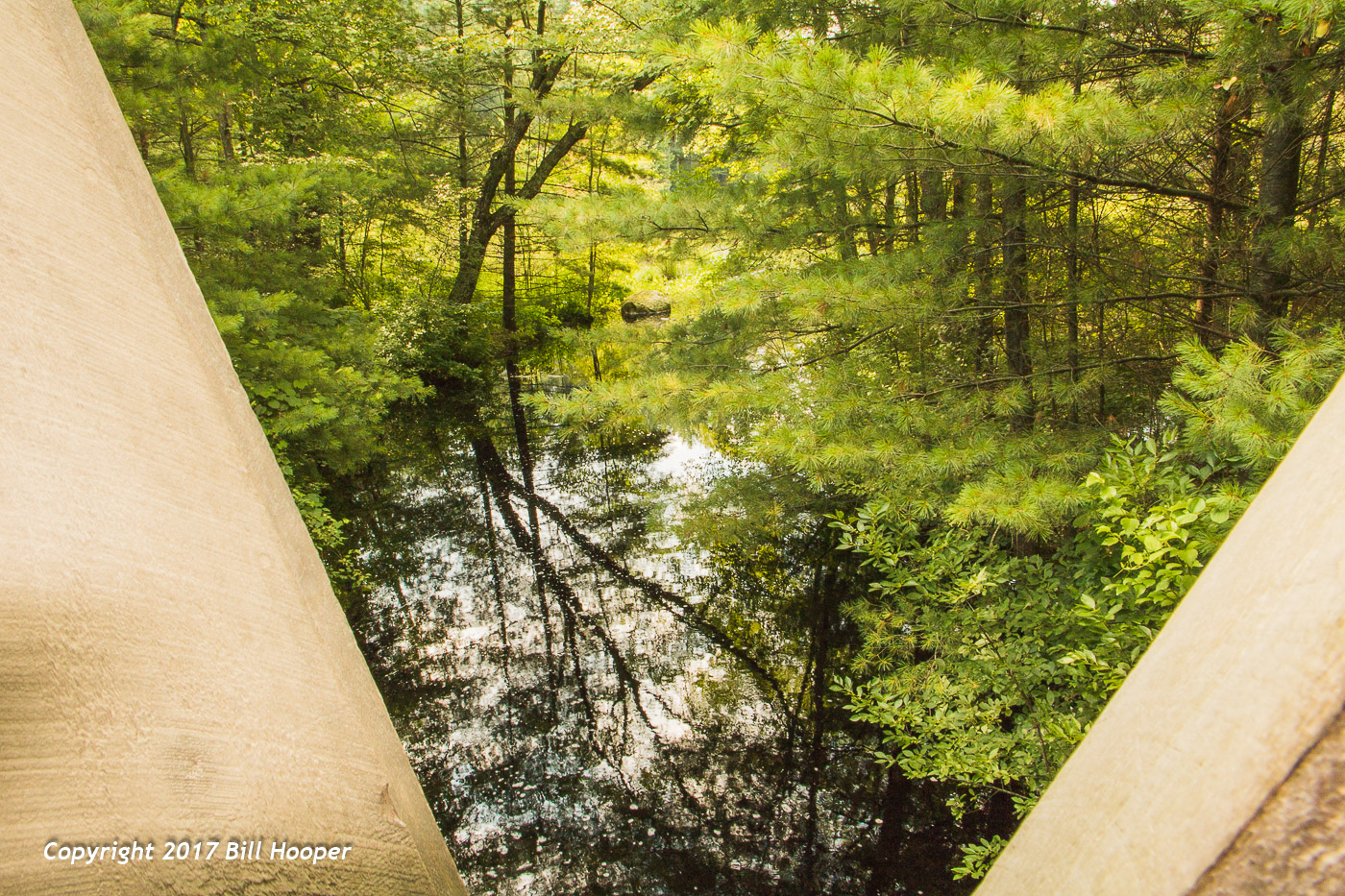 Swamp Meadow Covered Bridge | BigBillH Blog