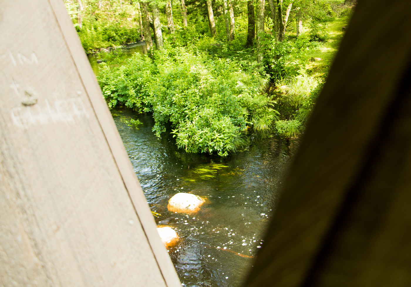 Swamp Meadow Covered Bridge | BigBillH Blog